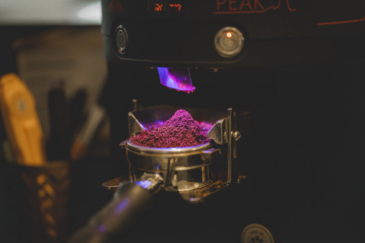 Understanding The Potato Defect – Merit Coffee