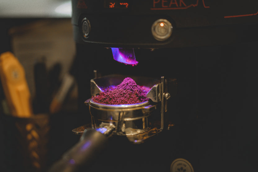 Understanding The Potato Defect – Merit Coffee